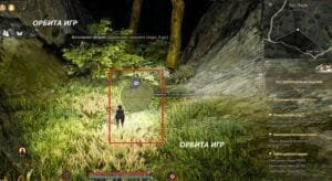 Знания BDO: Страна утра: дневник странствий по Тонхе I - Часть 1 - Орбита игр